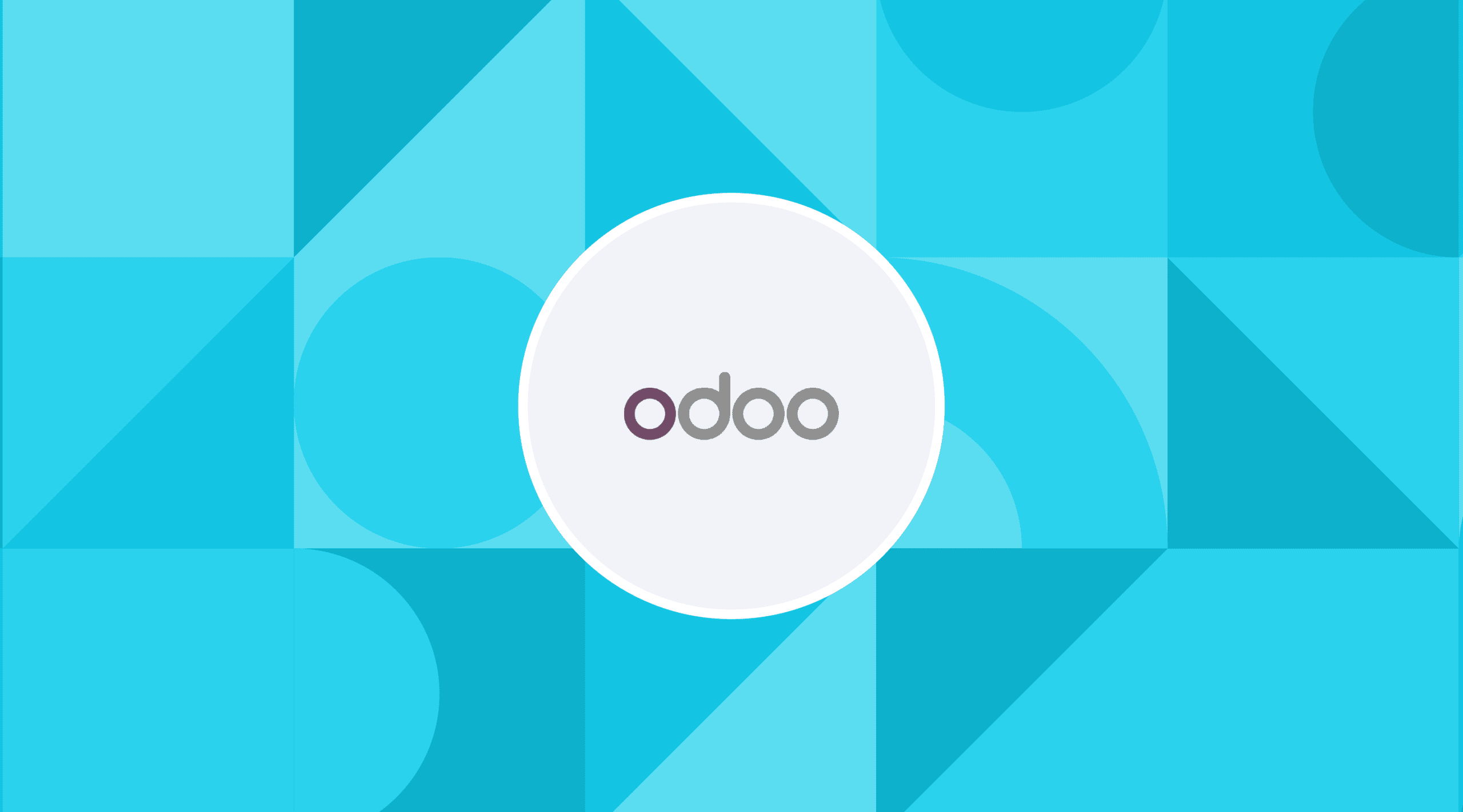 Silverfin en Odoo ontwikkelen software integratie voor accountants ...